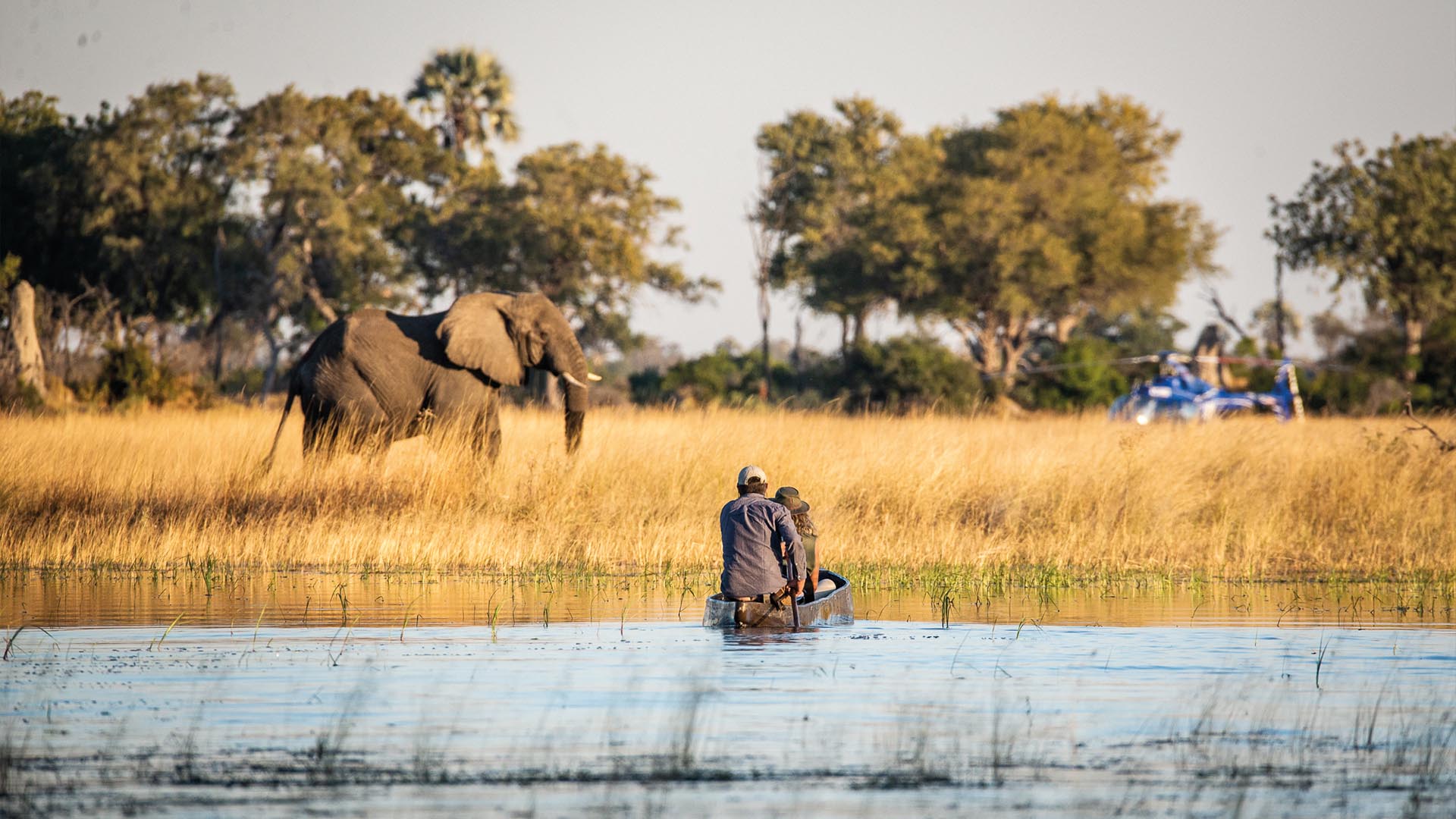 Adventures in Botswana’s Okavango Delta - Helicopter Horizons