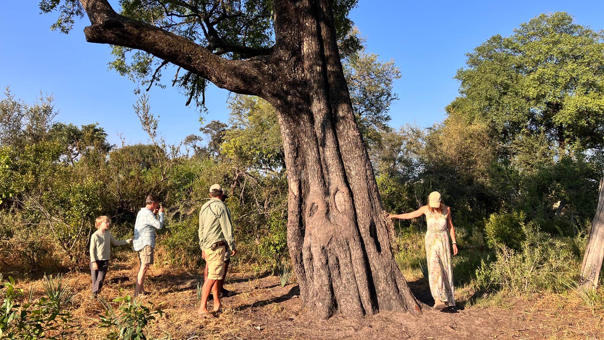 Space as the only real luxury in Botswana’s Okavango Delta - Helicopter ...